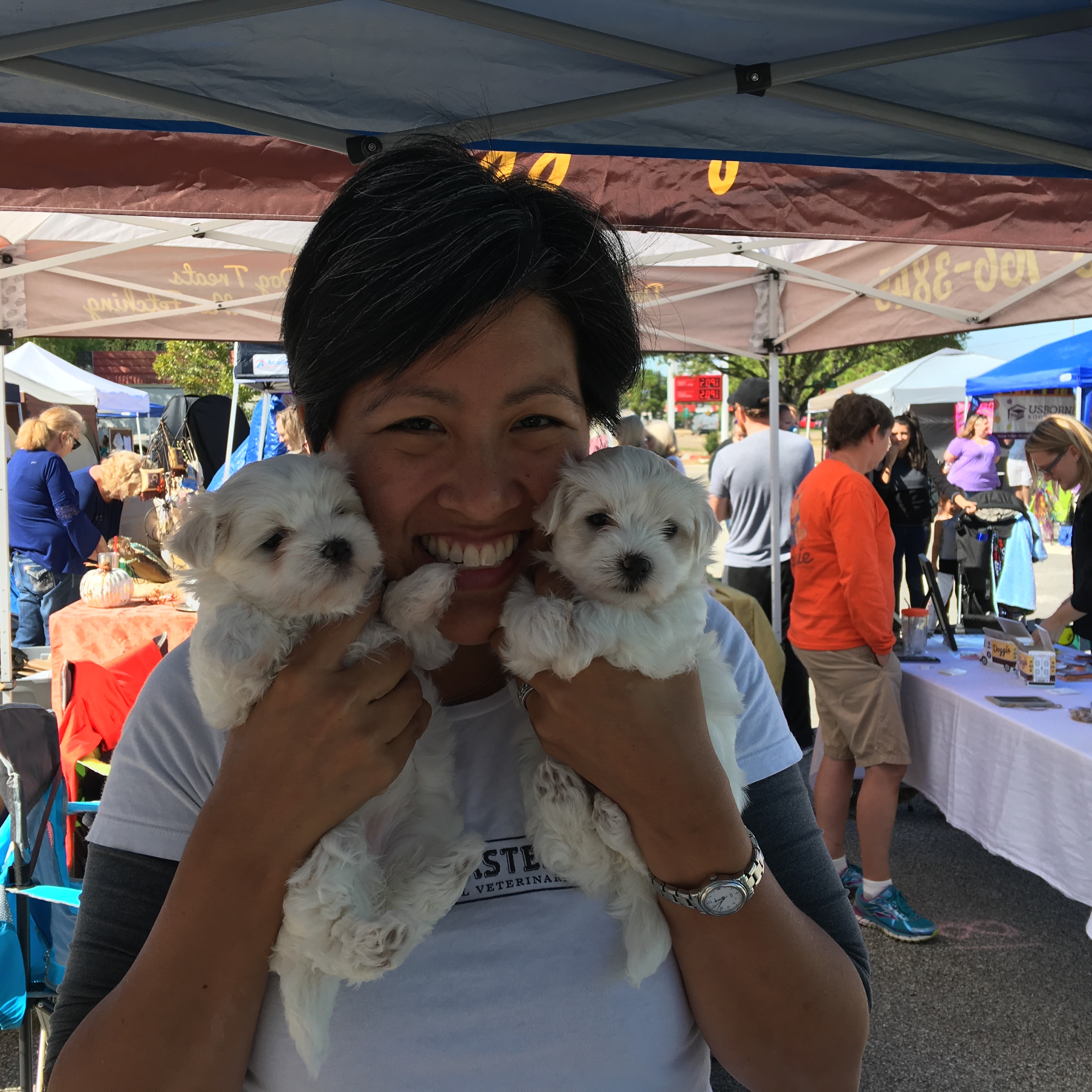 Houston Mobile Vet Dr Tina Han